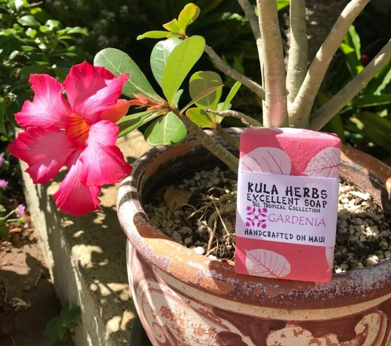 Gardenia Soap - Kula Herbs